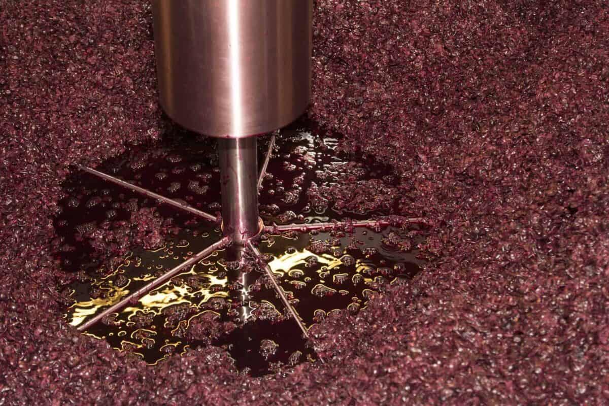 Maceration under vinens gæringsproces - winetalk.dk